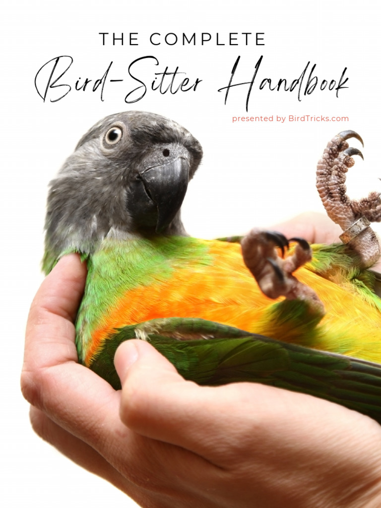 The Complete Bird-Sitter Handbook 2022 | PDF