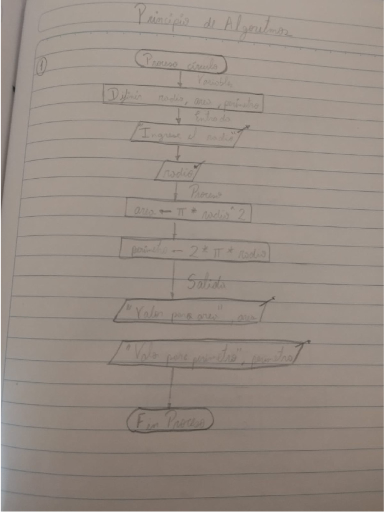 Diagrama de Flujos Algoritmos | PDF