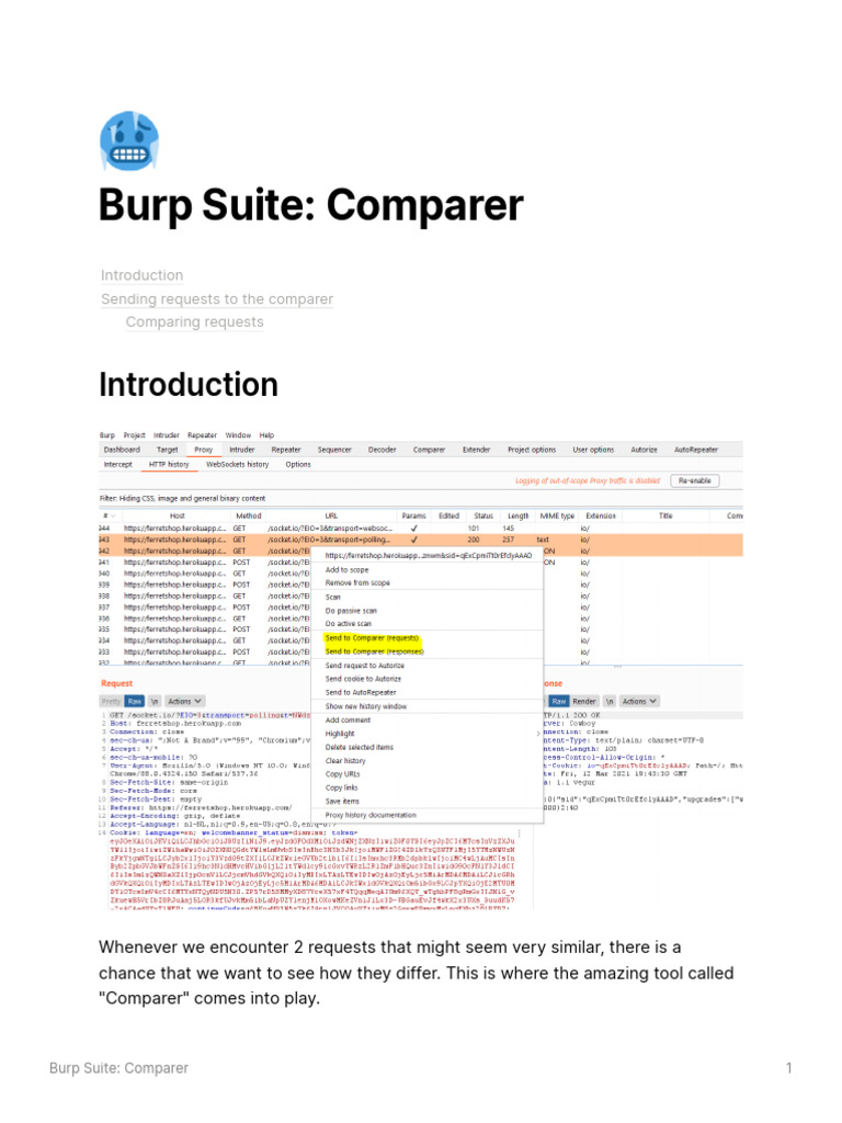 Burp Suite Comparer Tool Overview | PDF