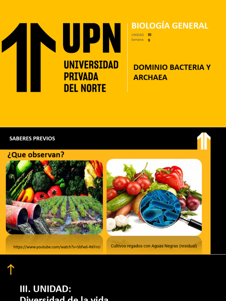 S9 PPT Biología General | PDF | Cianobacterias | Las bacterias