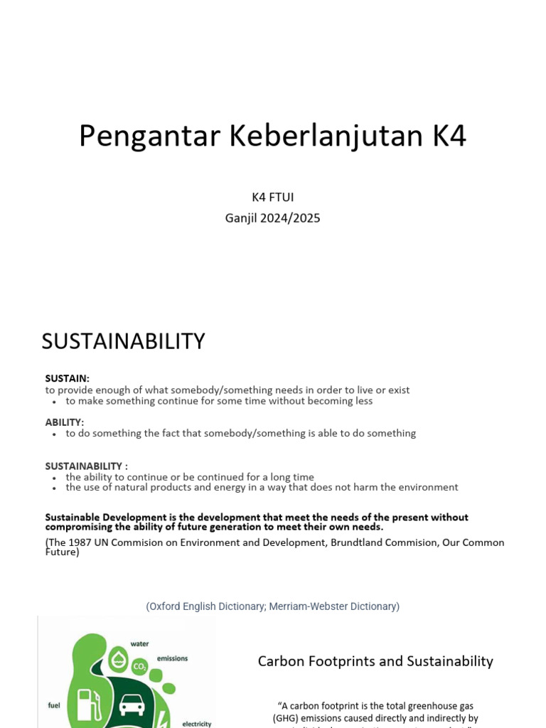 PENGANTAR Sustainability K4 | PDF