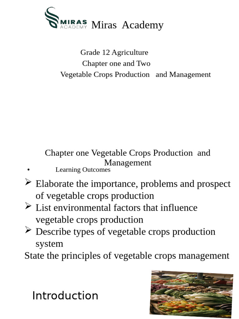Vegetable Crop Production in Ethiopia | PDF | Vegetables | Fruit