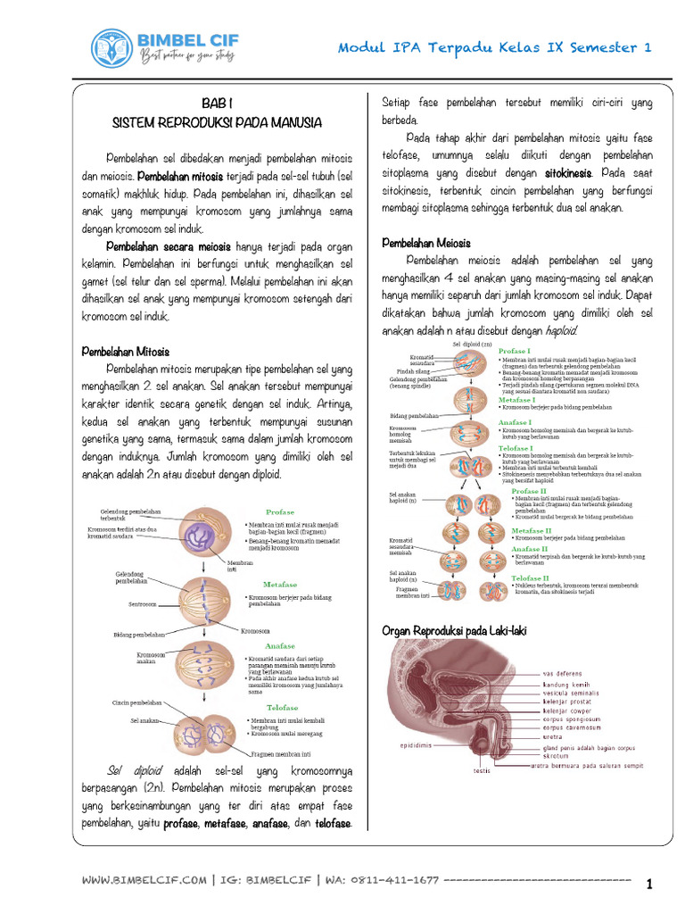 Kelas 9 - Modul IPA Terpadu Bab 1 Sistem Reproduksi Pada Manusia | PDF