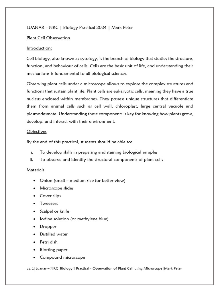 Bio 1 Practical - Onion Cell Observation | PDF | Cell (Biology) | Staining