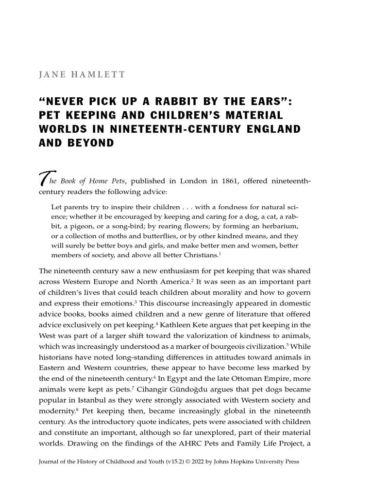 "Never Pick Up A Rabbit by The | PDF | Pet | Rabbit