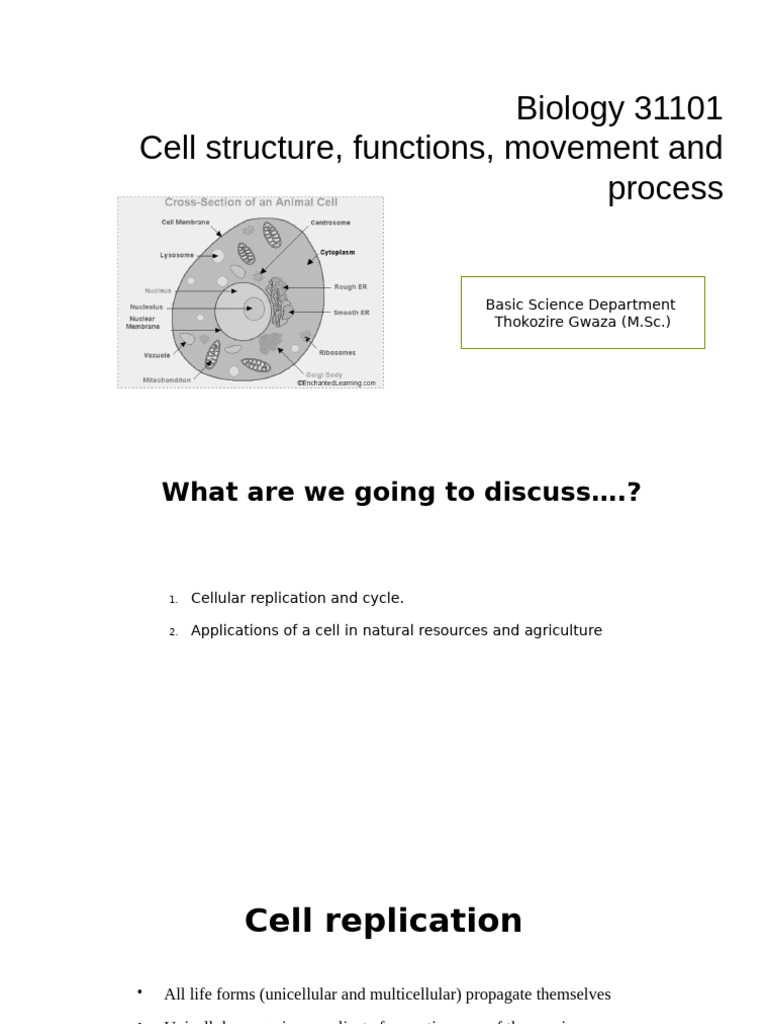 Biology 31101 Cell Reproduction | PDF | Meiosis | Mitosis