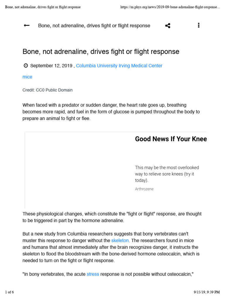Bone, Not Adrenaline, Drives Fight or Flight Response | PDF | Fight Or ...