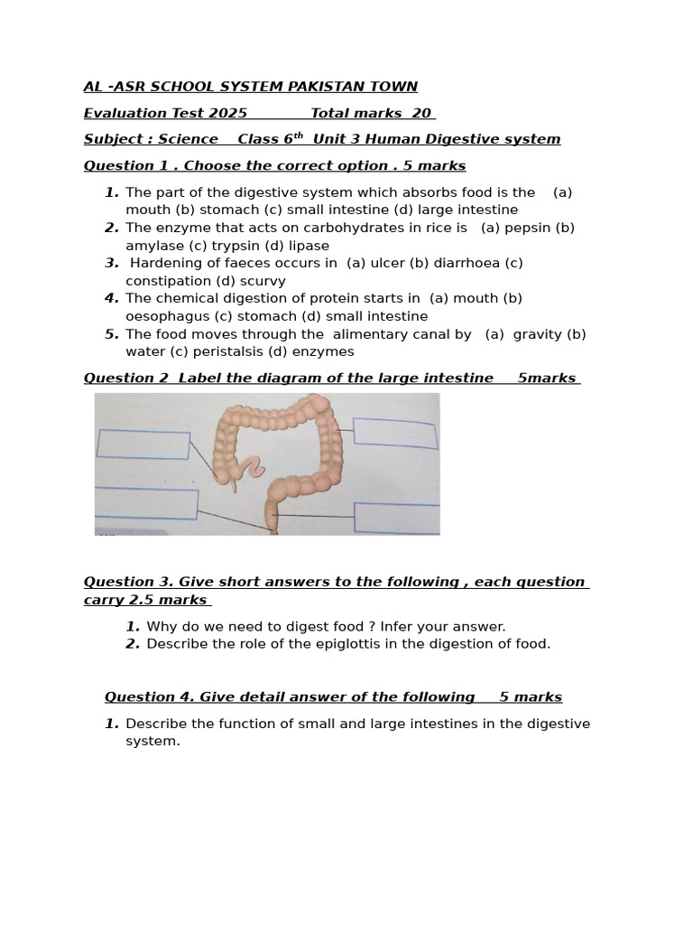 Class 6 Unit 1 Sun Series | PDF