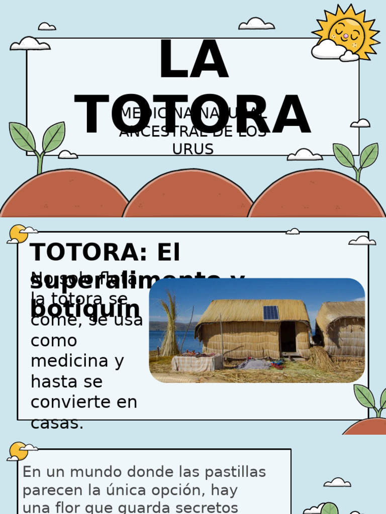 La Totora 4 | PDF