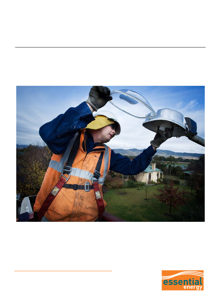 TTEG Reference Material 8 - Essential Energy - Public Lighting ...