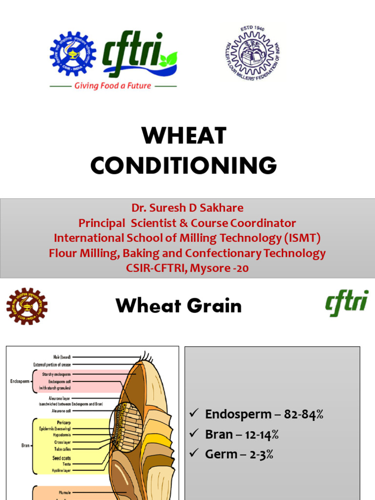 Wheat Conditioning and Blending Guide | PDF | Flour | Cereals