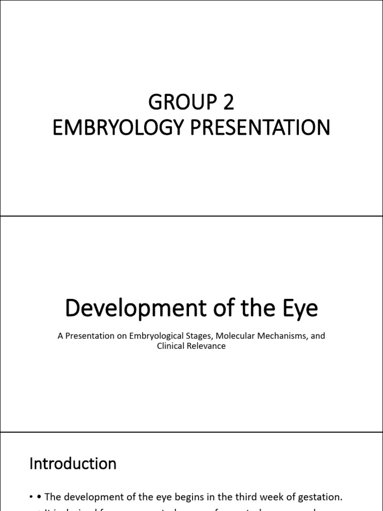 Group 2 - Development of The Eye | PDF | Eye | Sensory Organs