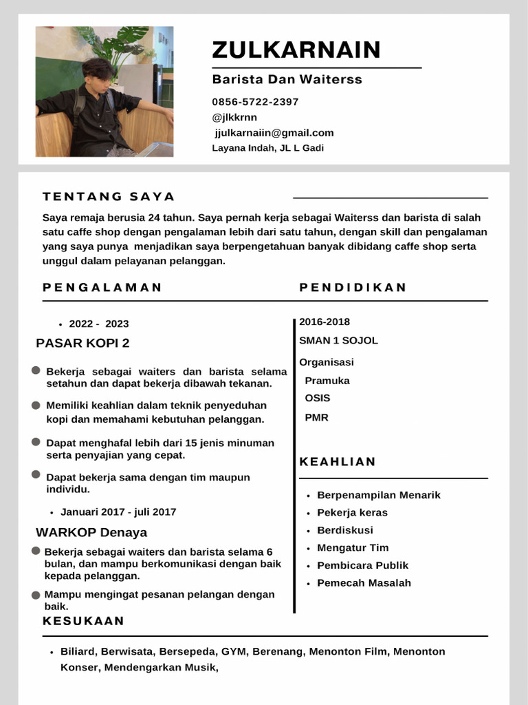 CV Zulkarnain | PDF