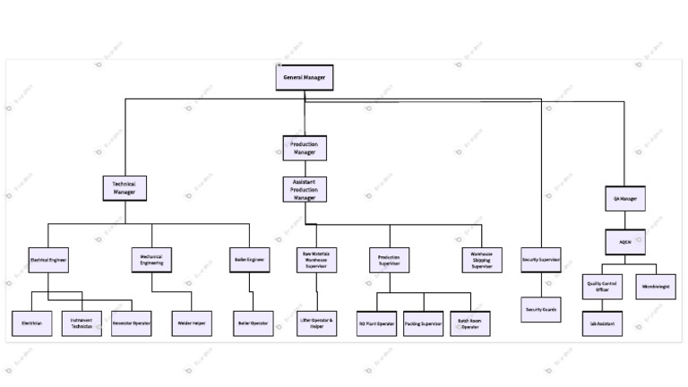 Functional Organization Structure | PDF