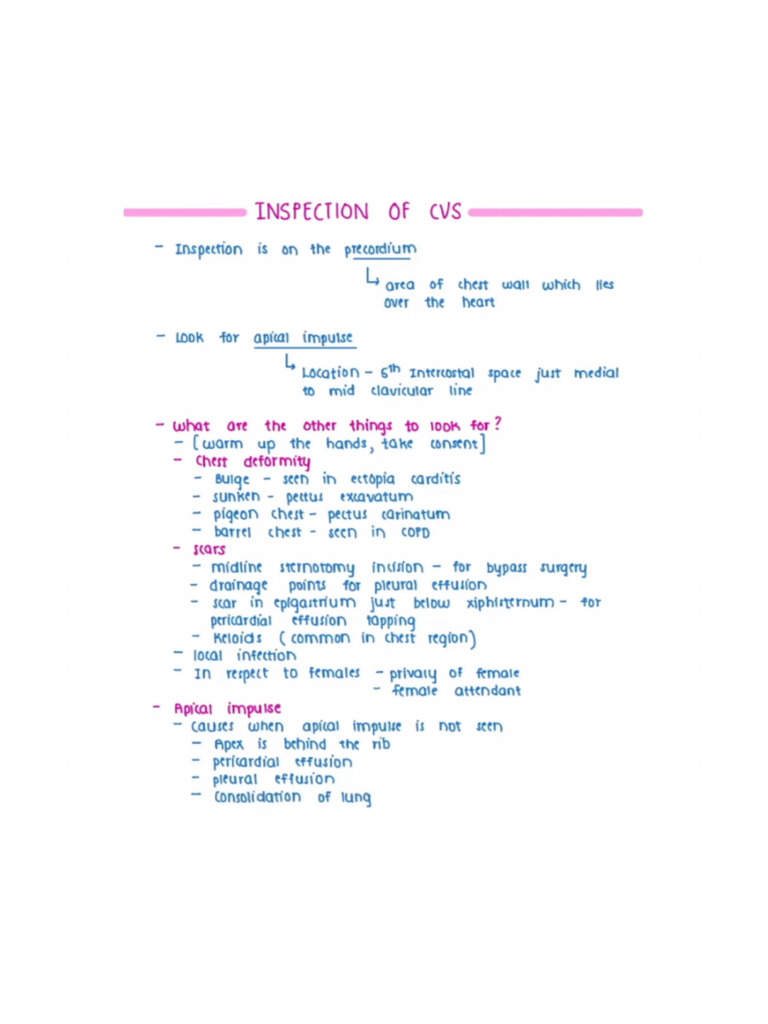 CVS Notes | PDF