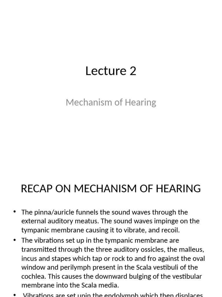 Special Senses Lecture 2 | PDF | Auditory System | Acoustics