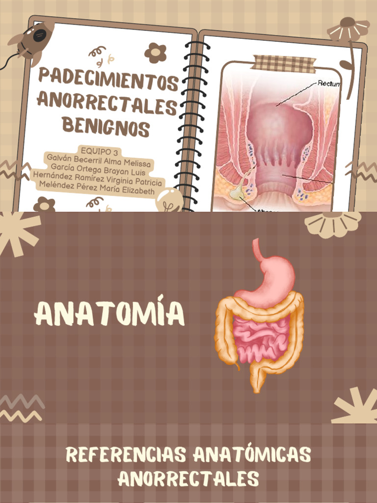 Anatomía y Fisiología Anorrectal | PDF | Hemorroides | Recto