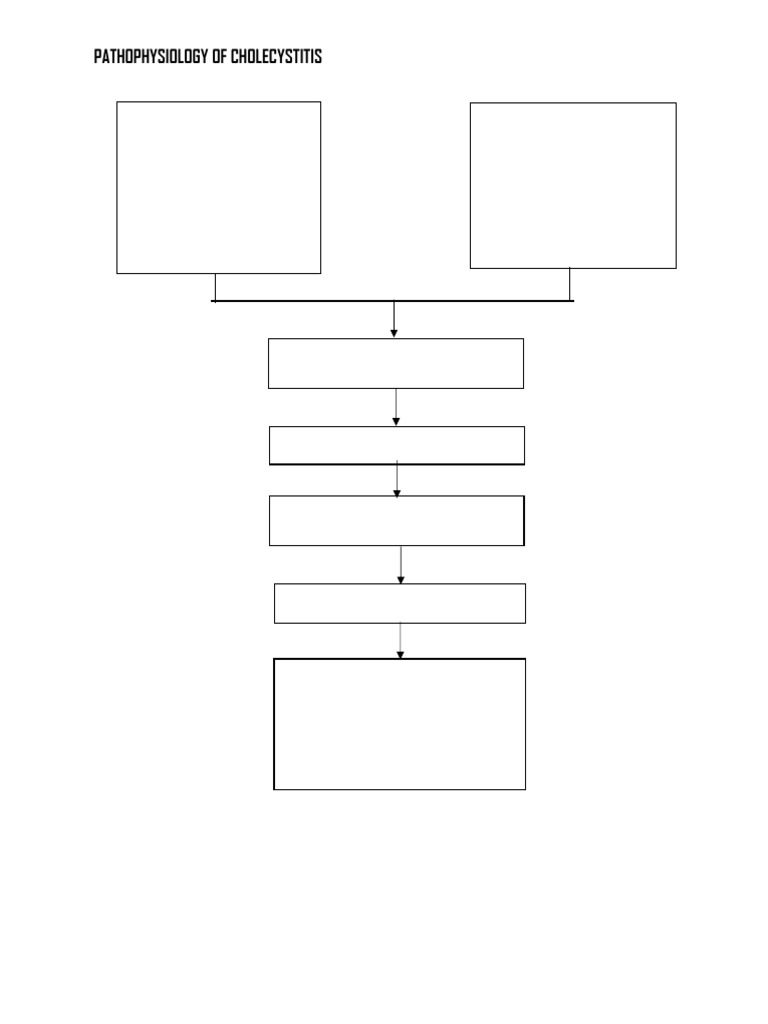 Pathophysiology of Cholecystitis | PDF