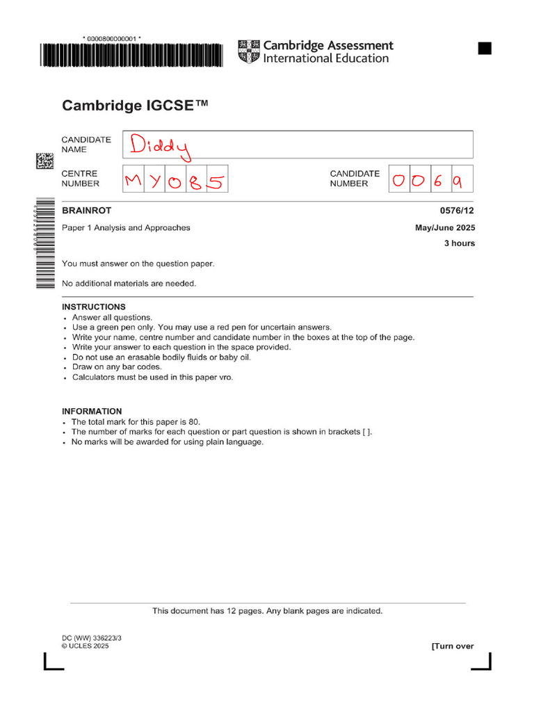 0576 (Brainrot) Distinction Paper | PDF