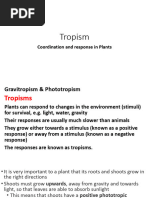 Tropisms - IGCSE Biology Revision Notes | PDF | Auxin | Root