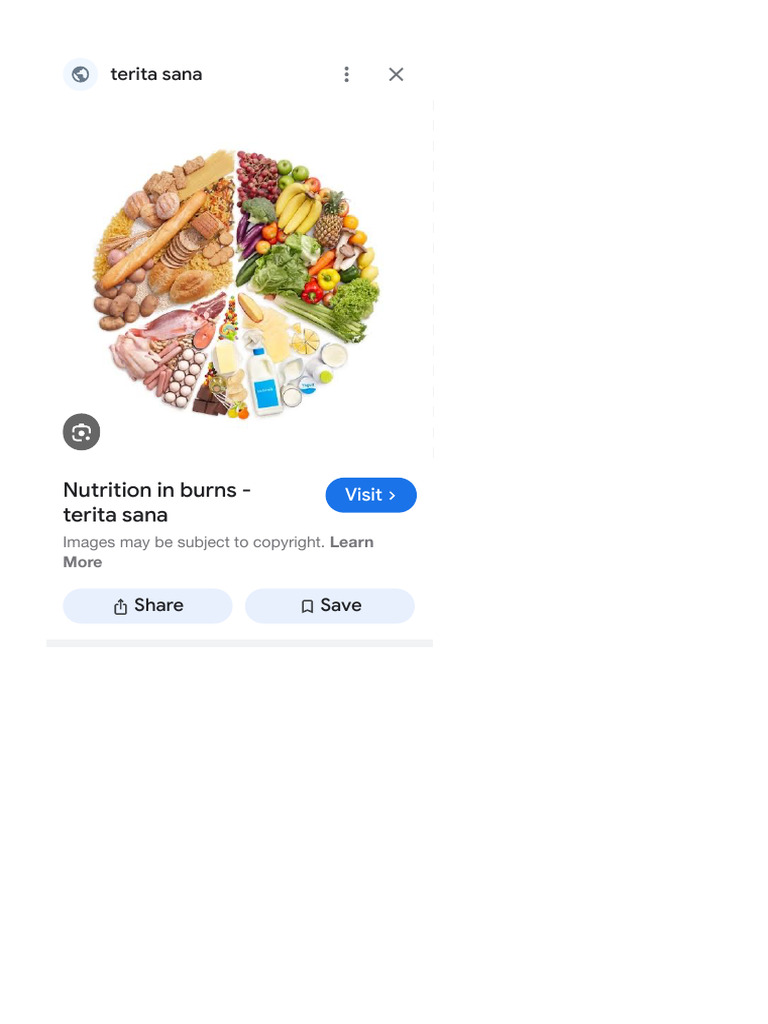 Food Plate For Burns Patients - Google Search | PDF