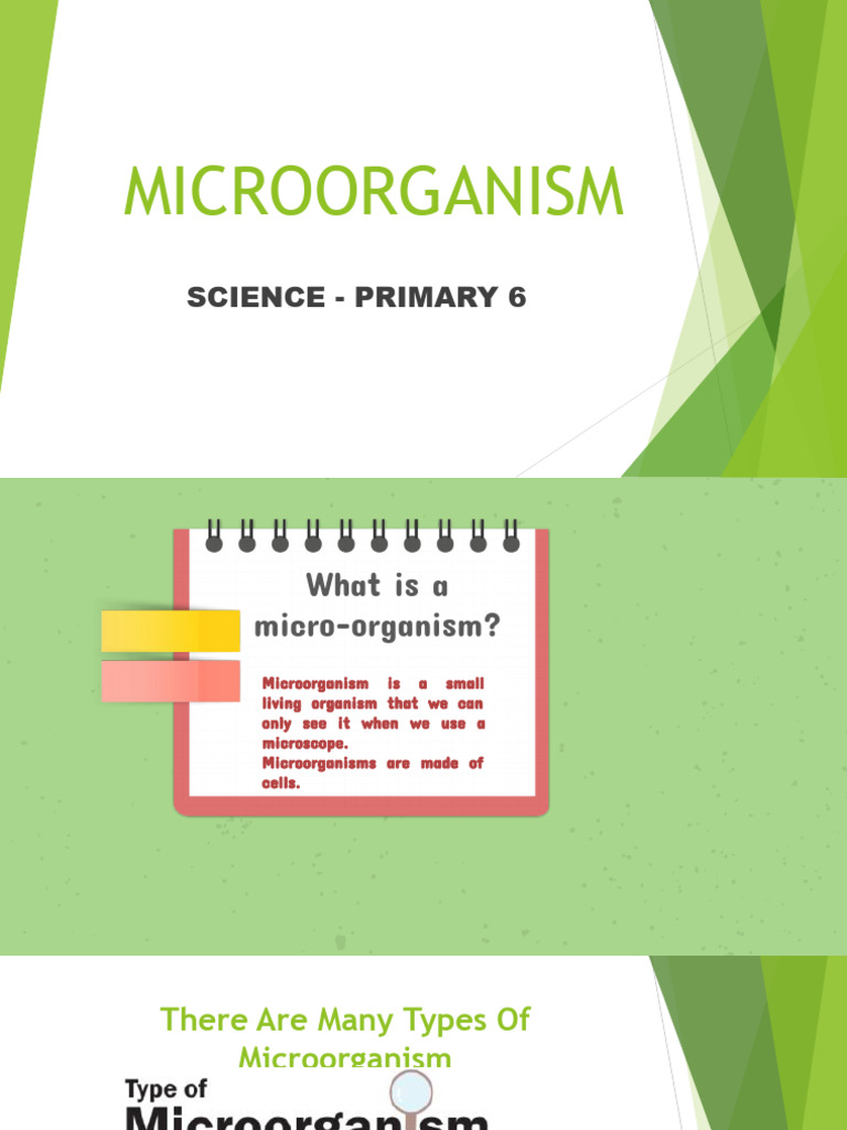 Microorganism.pptx (1) | PDF | Microorganism | Protozoa