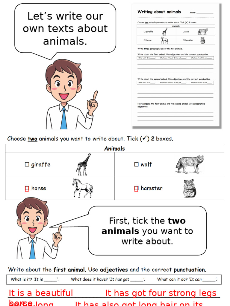 Writing About Animals: A Guide | PDF | Giraffe