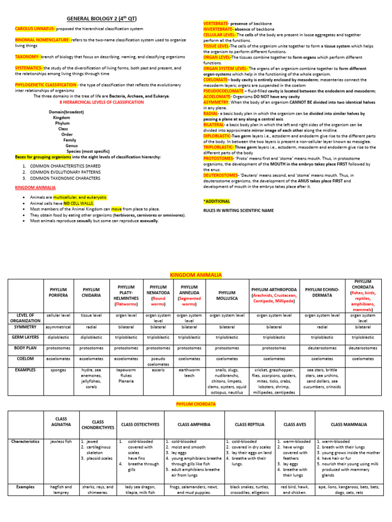 General Biology 2 Handout 1 | PDF | Leaf | Plants