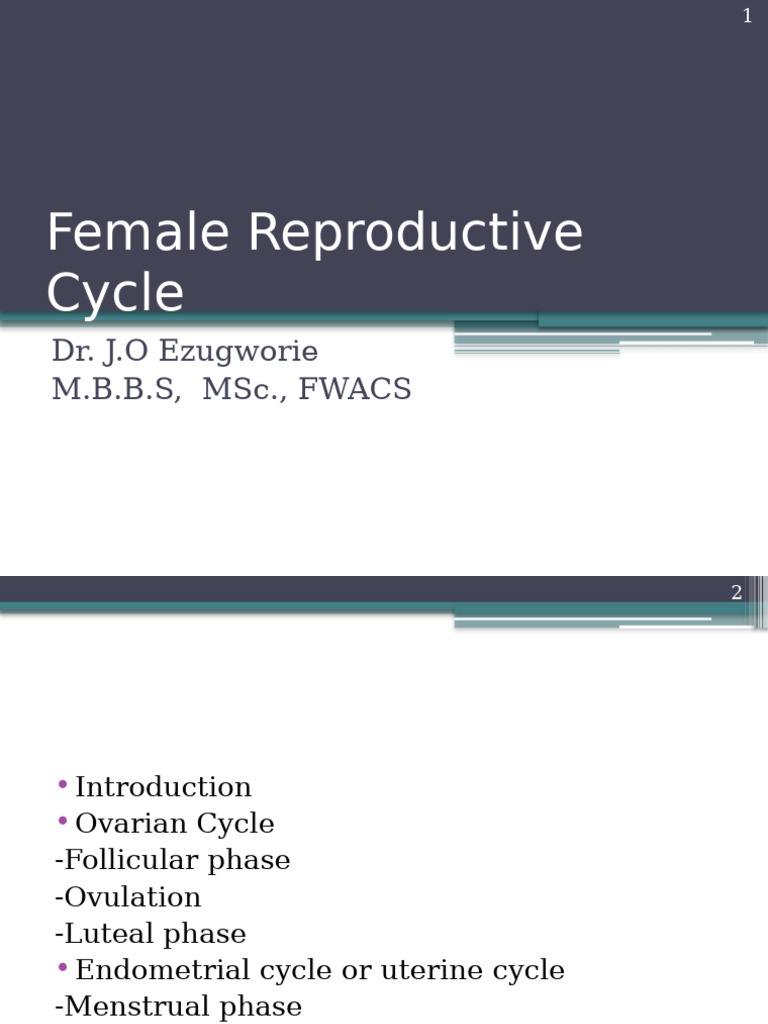 Female Reproductive Cycle 2016 | PDF | Menstrual Cycle | Ovary