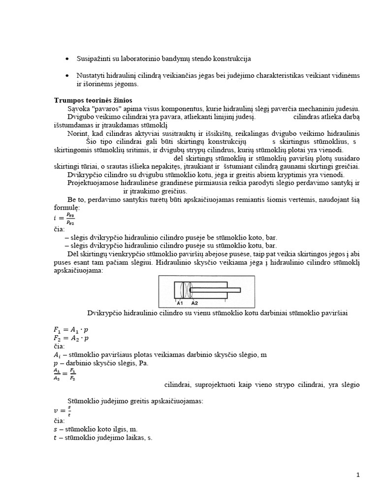 Laboratorinis darbas 3 | PDF