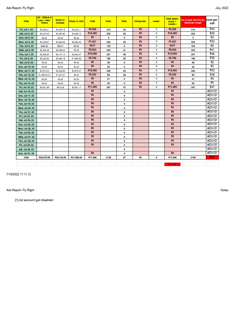 Fly Right Ads Performance Report | PDF