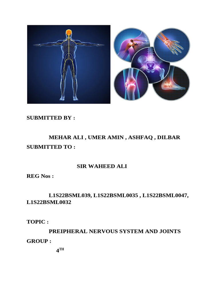 GRP 4 Anatomy Assignment | PDF | Vertebral Column | Nervous System