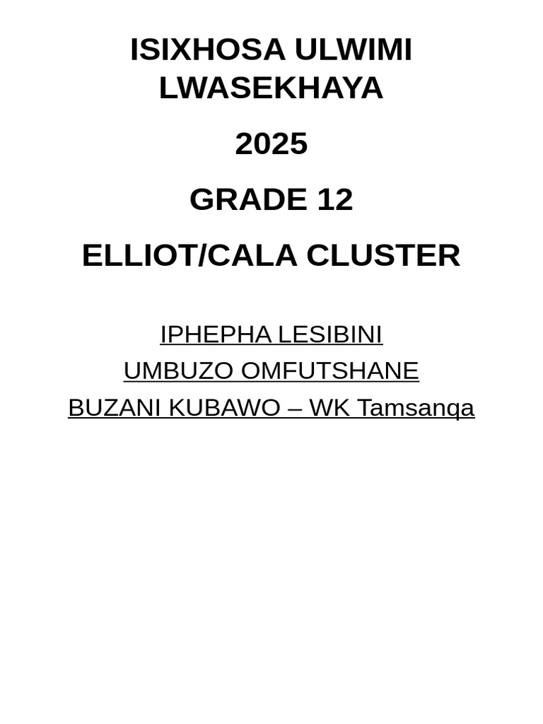Grade 12 Paper 2 - Buzani Kubawo | PDF