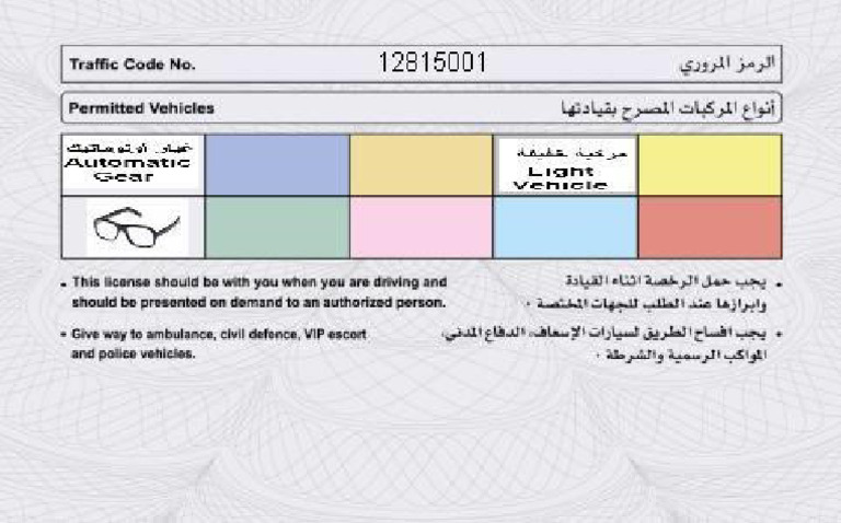 DL Back | PDF