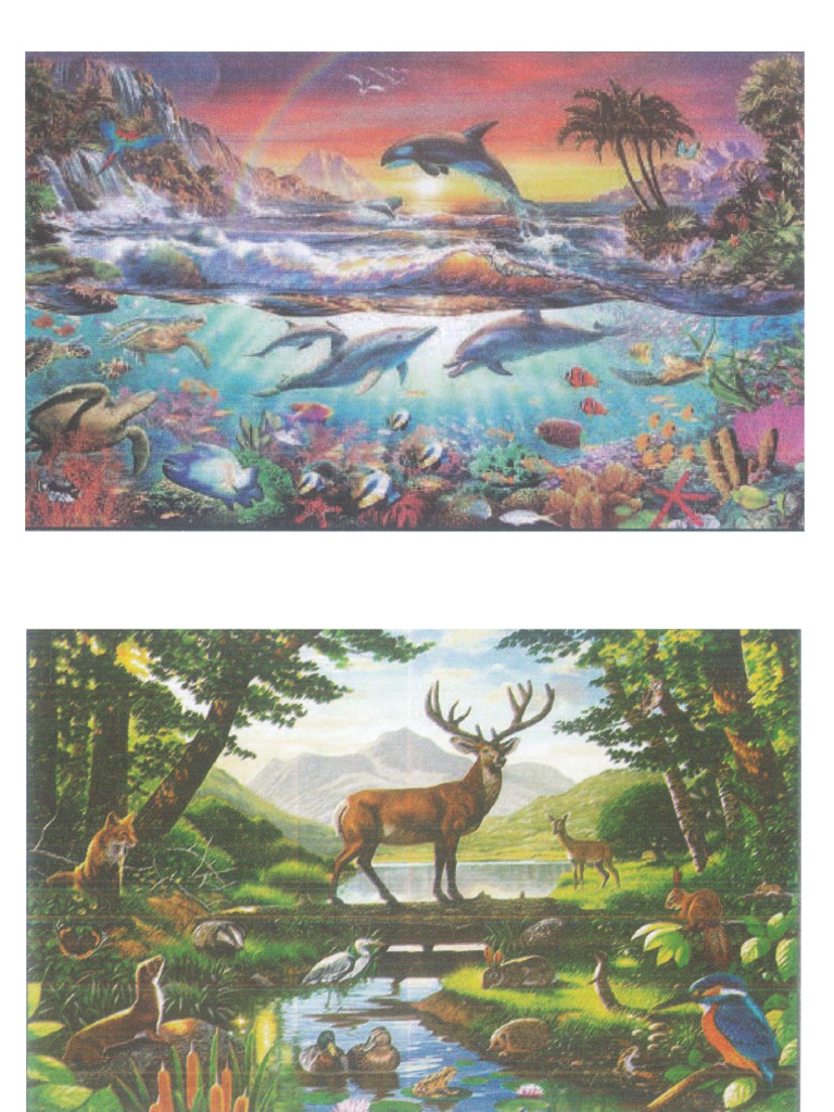 Colour A3 | PDF