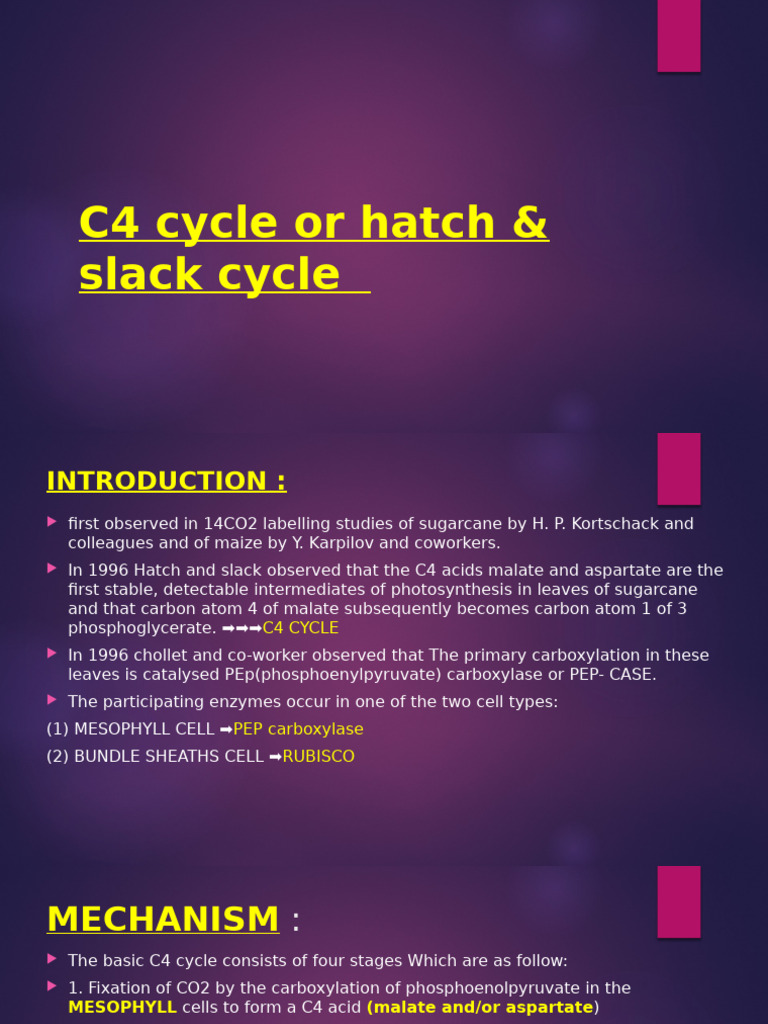 C4 Cycle or Hatch & Slack Cycle | PDF