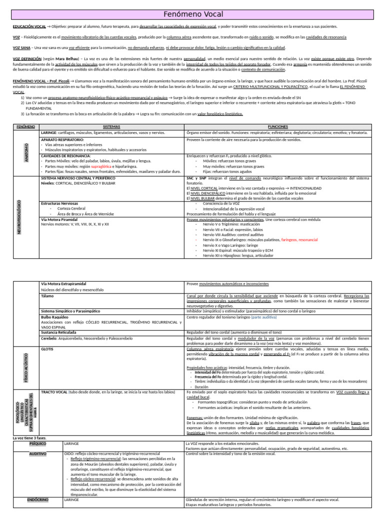 Resumen Final | PDF | Sonido | Laringe