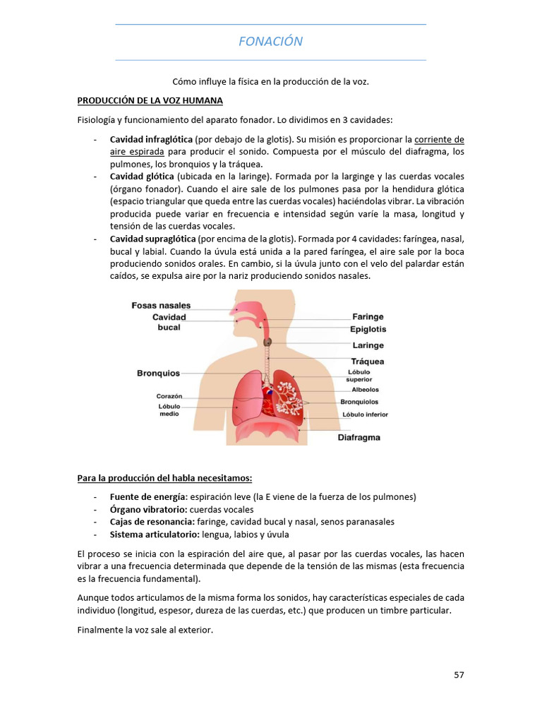 Resumen - Fonación e Instrumentos | PDF | Sonido | Instrumentos de cuerda