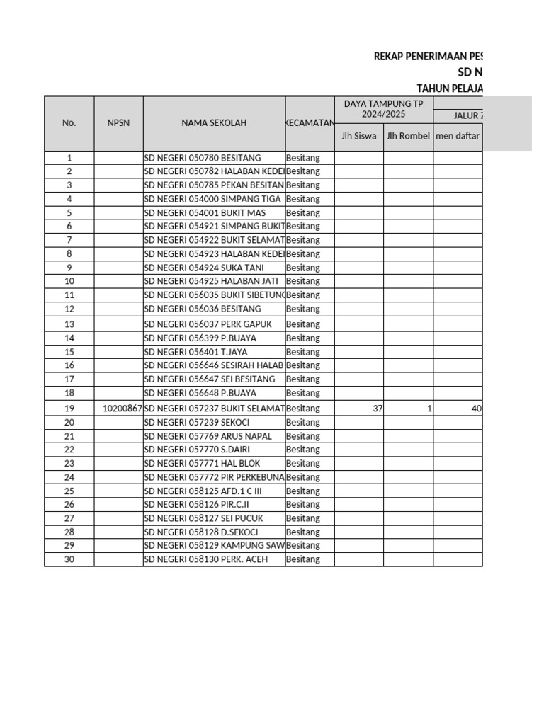 PPDB SDN 057237 Bukit Selamat Besitang 2024 | PDF