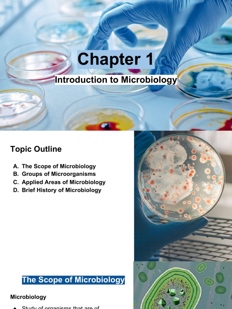 Chapter 1 - Introduction To Microbiology | PDF | Microbiology ...