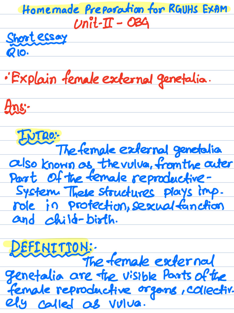 Ext Genitalia | PDF