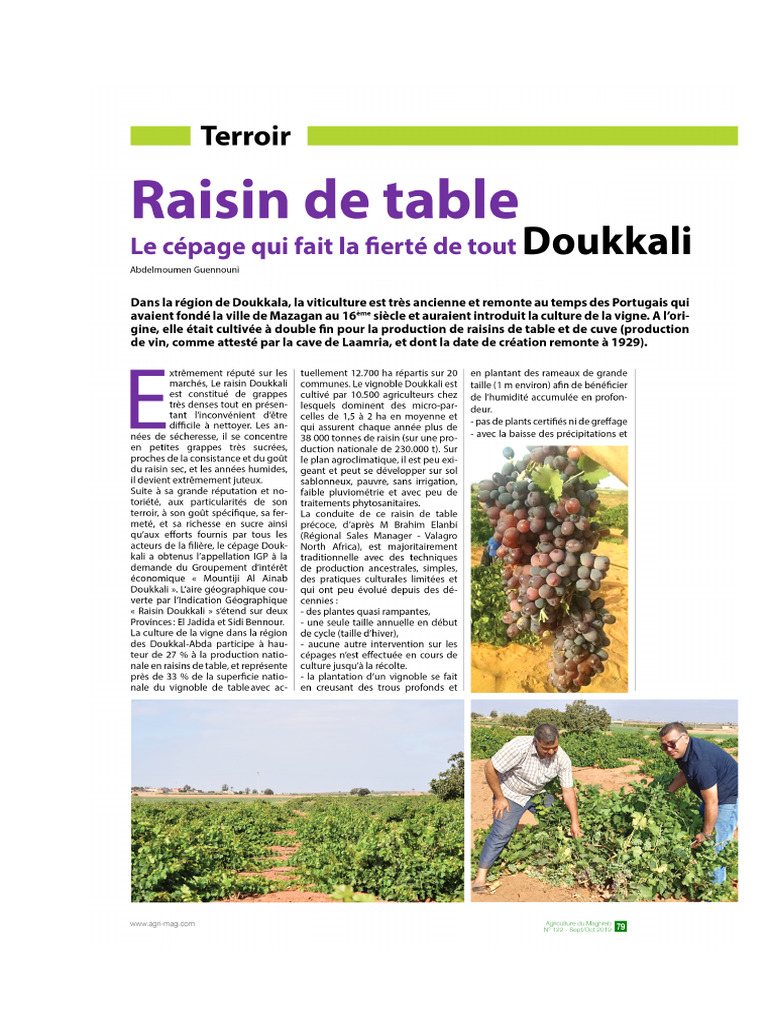 Raisin Doukkali | PDF