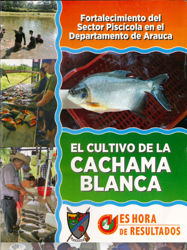 El Cultivo de Cachama Blanca | PDF