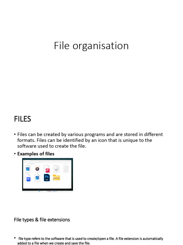 File Organisation | PDF