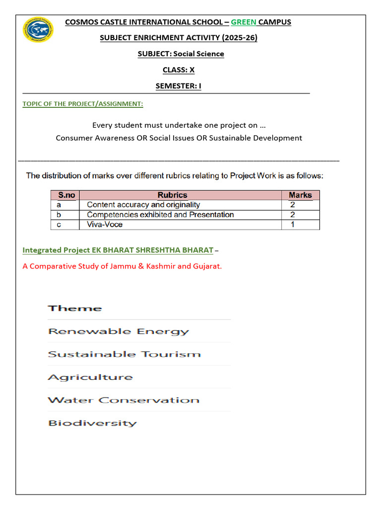 Grade 10 Social Science Project Guide | PDF