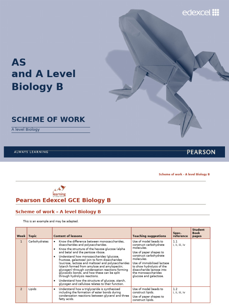 A Level Biology B 2015 Scheme of Work | PDF | Cellular Respiration ...