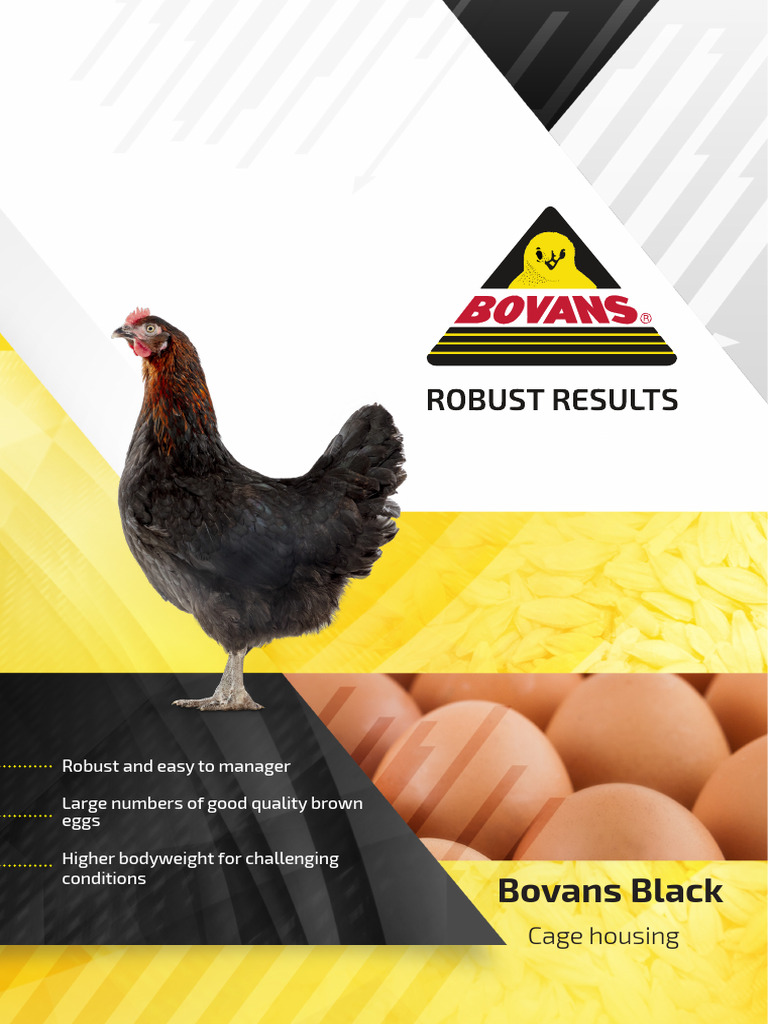Bovans Black CS Product Leaflet Cage L1211-1 | PDF | Poultry | Ornithology