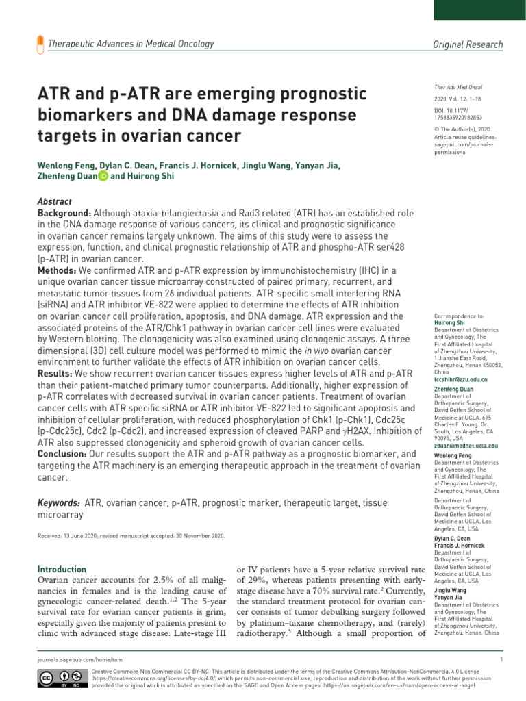 ATR and p-ATR Are Emerging Prognostic Biomarkers A | PDF | Ovarian ...