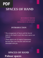 Palmar Space | PDF | Finger | Hand