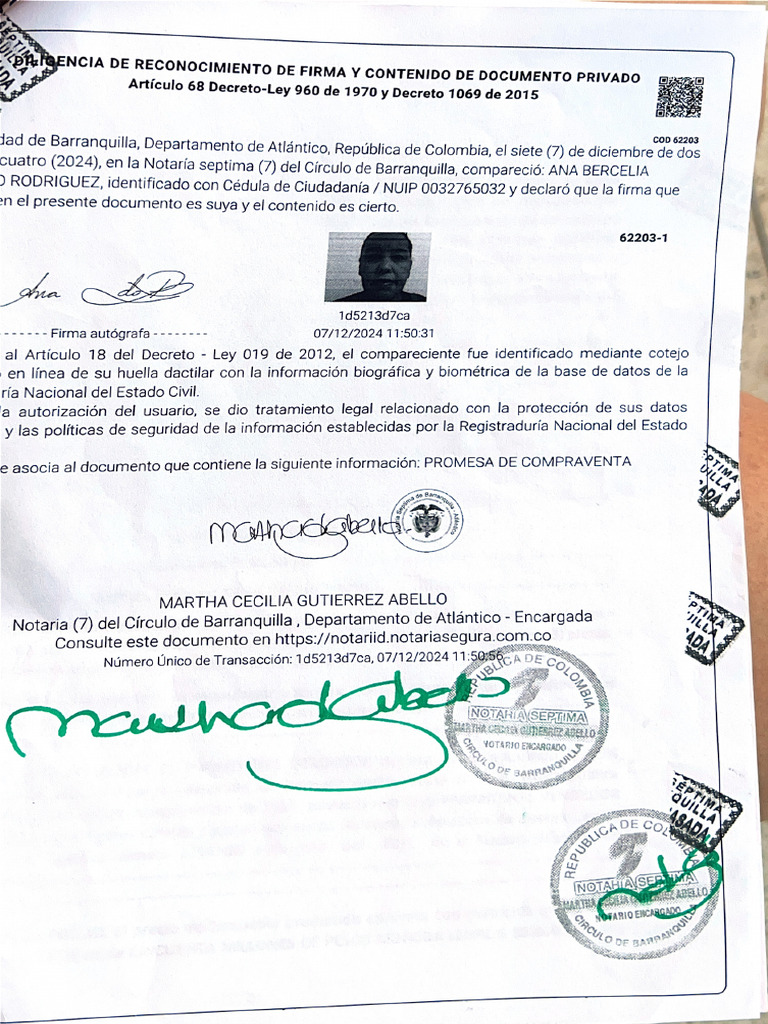 Documento Escaneado 5 | PDF